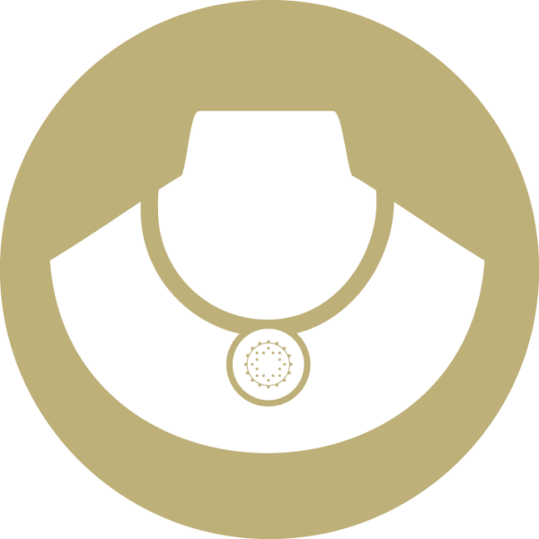 Penta Power Jewel Pendant: Info & Prijzen | Koop Online