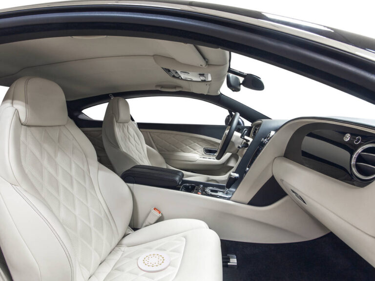 What Does the Penta Power Car Vitaliser Do? - Penta Power - Dé Ultieme ...